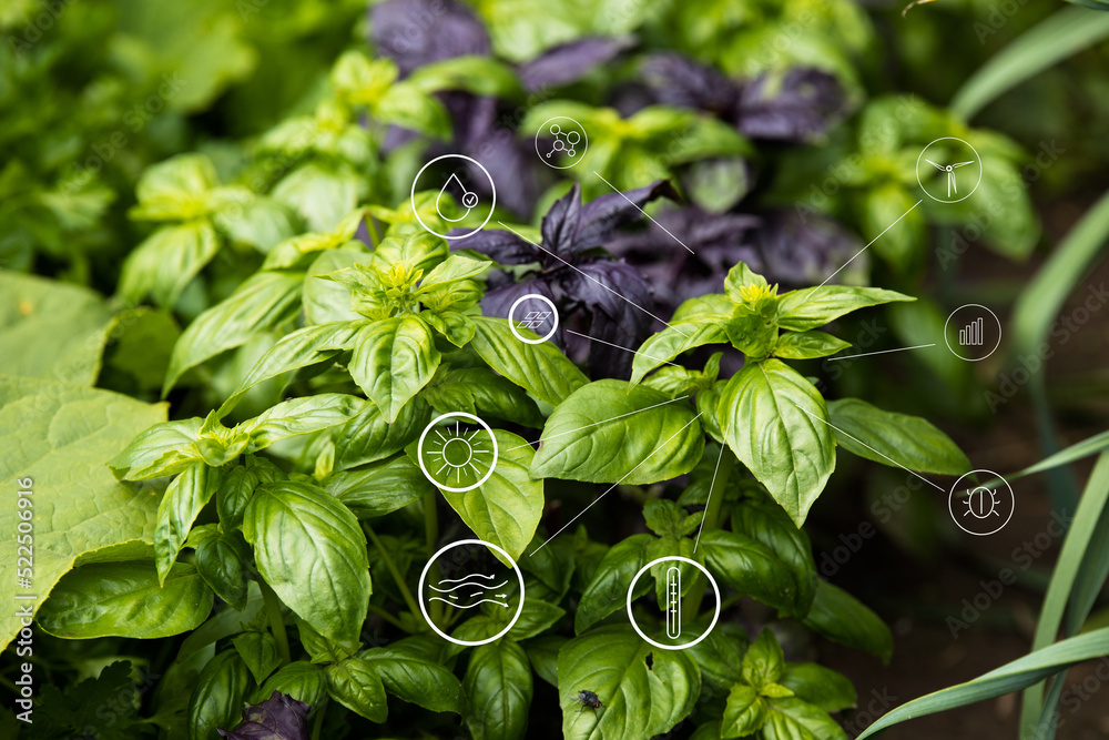 Diagram of physical indicators for growing plants on the background of ...