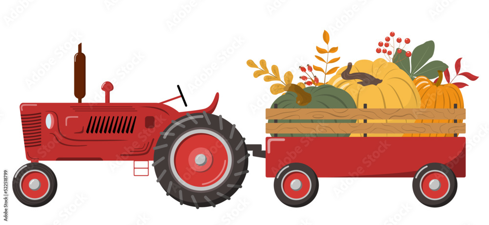 Red farm tractor with pumpkin trailer. Isolated on white. Fall harvest ...