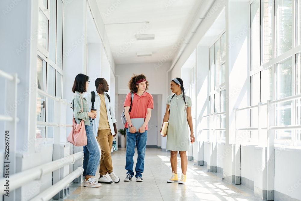 Multiethnic group of students standing at corridor of school building ...