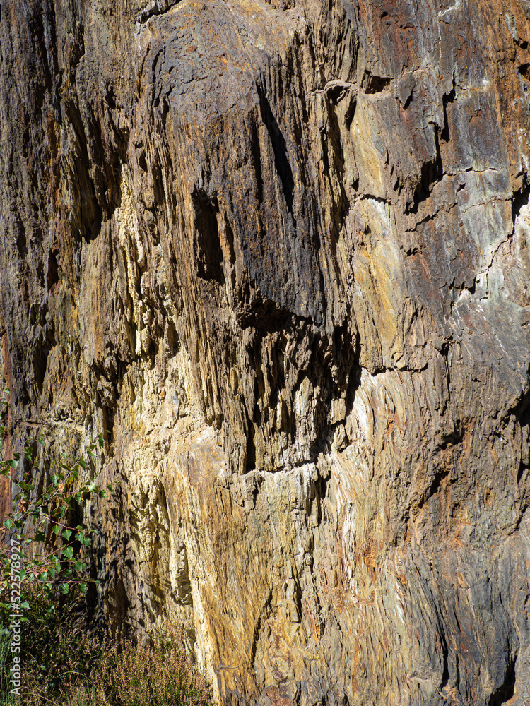 Textura rugosa de una piedra con varios colores y formas, en otoño de ...