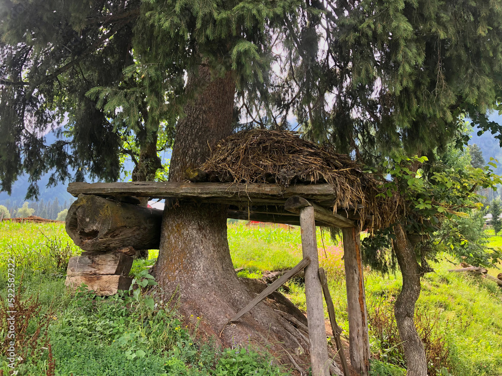 Thatch and wood house supported by tree trunk at Arang Kel AJK Stock ...