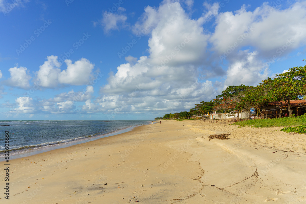 paisagem do litoral nordestino brasileiro Stock Photo | Adobe Stock