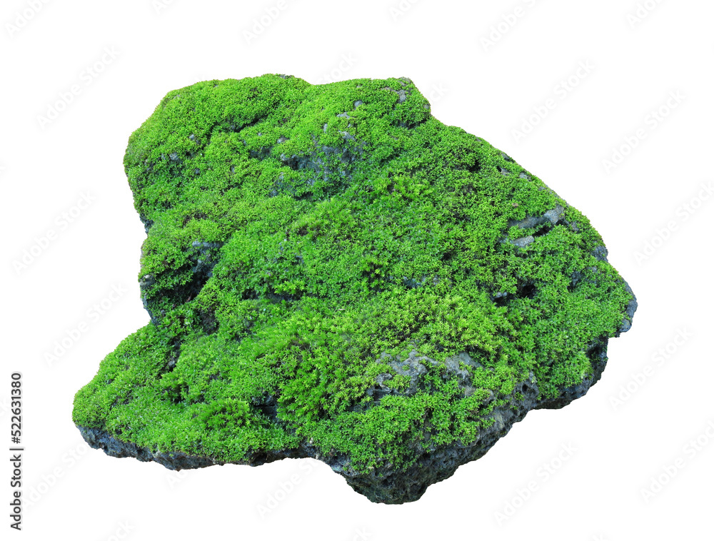 Rock covered in green moss isolated on transparent background for ...