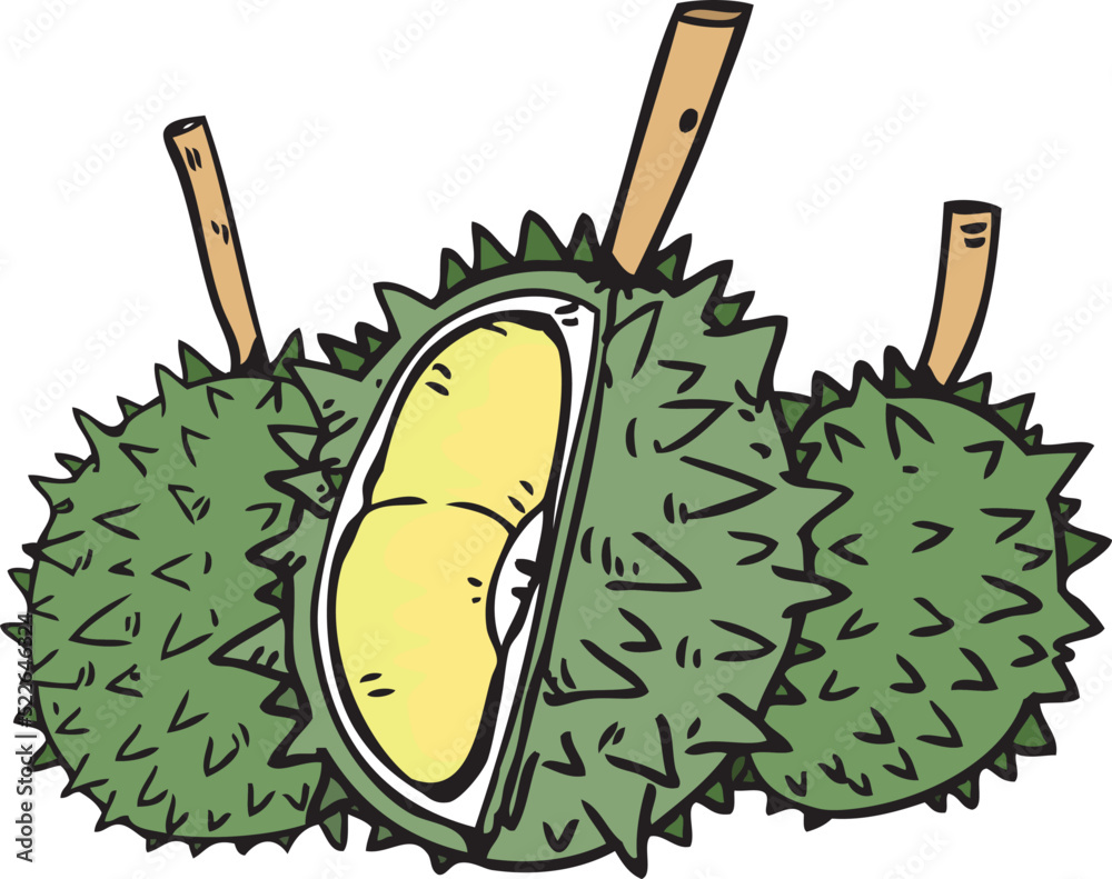 cartoon drawing of 3 durians Stock Vector | Adobe Stock