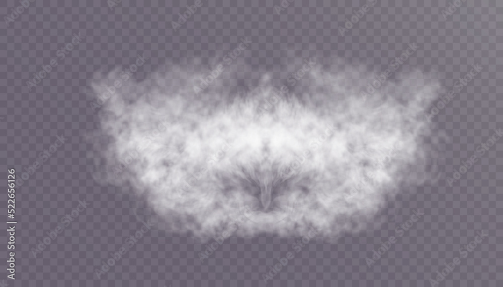 Translucent smoke or foggy cloud isolated on a transparent background ...