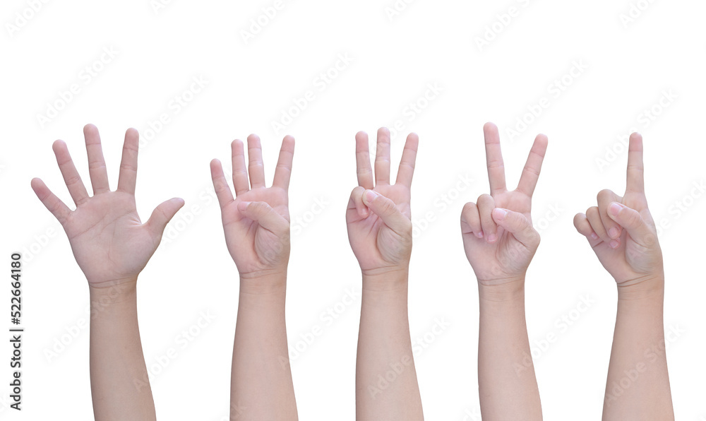 Children hand showing one to five fingers count Isolated on white ...