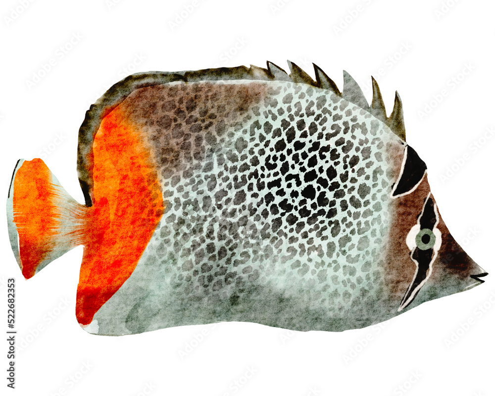 Watercolor of tropical fishes , colorful fishes in the ocean with ...