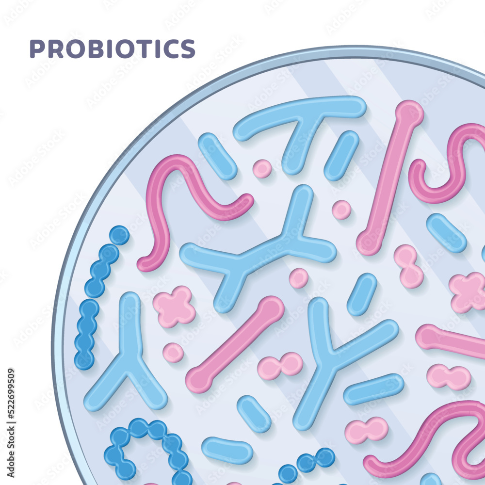 3d Probiotic bacteria set in petri dish. Gut microbiota with healthy ...