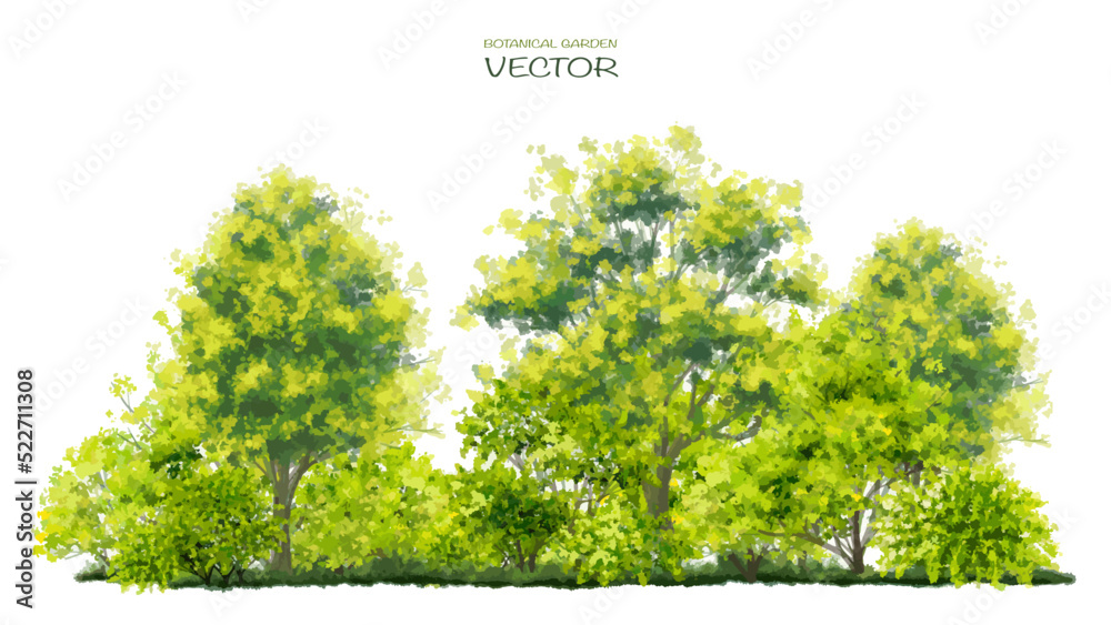 Vector watercolor of tree side view isolated on white background for ...