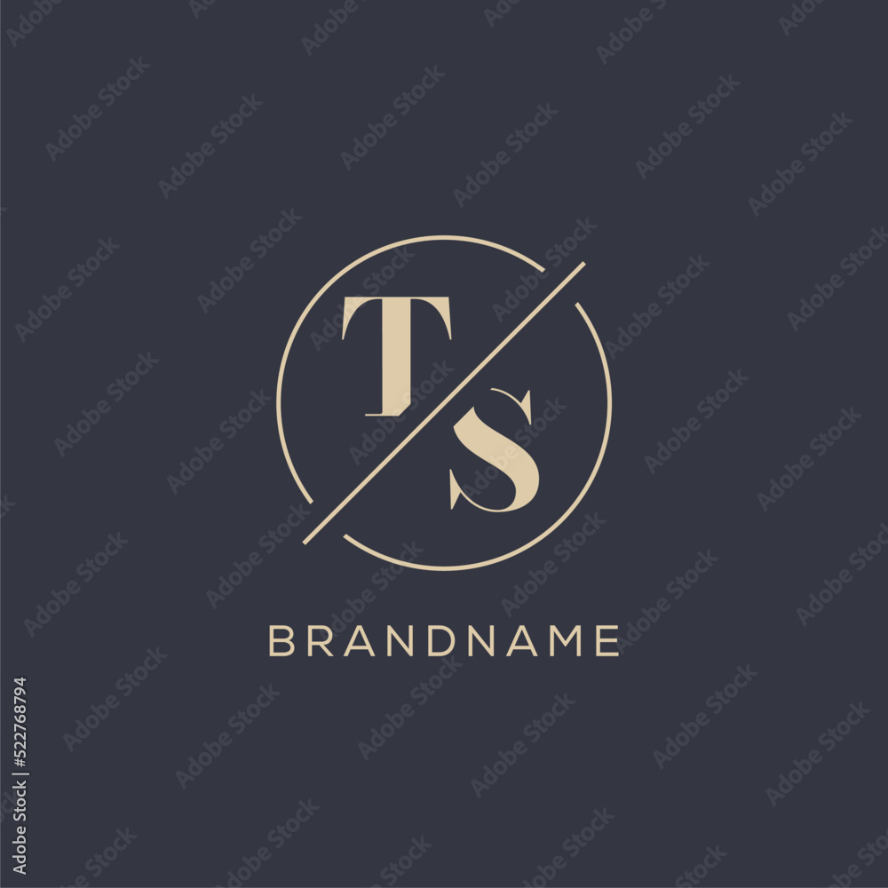 Initial letter TS logo with simple circle line, Elegant look monogram ...