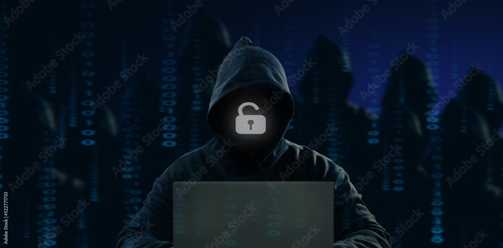 Dangerous anonymous hackers are using laptops for identity theft ...