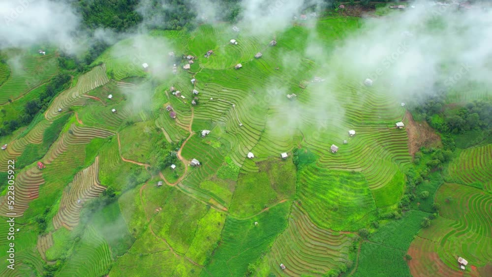 Aerial view of drones flying over rice terraces in Pa pong piang rice ...