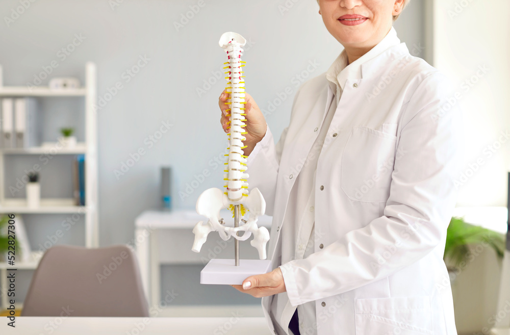 Doctor at orthopedic clinic showing anatomical spine model. Cropped ...