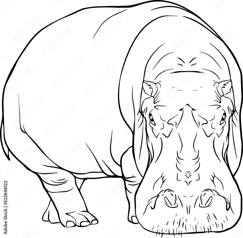 Behemoth vector black and white line drawing Stock Vector | Adobe Stock