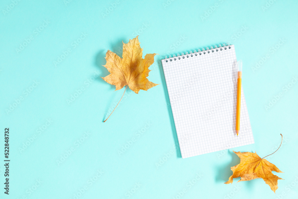 Empty notepad mockup, dried leaves on pastel blue background. Fall ...