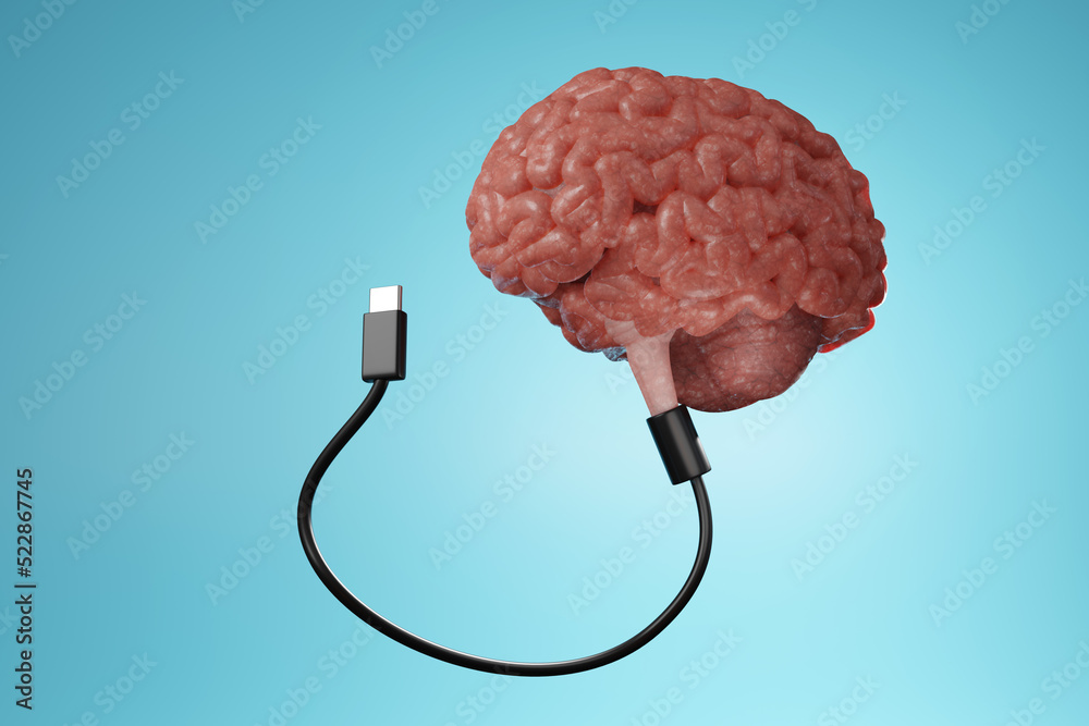 Human brain connecting to a computer cable. Illustration of the concept ...