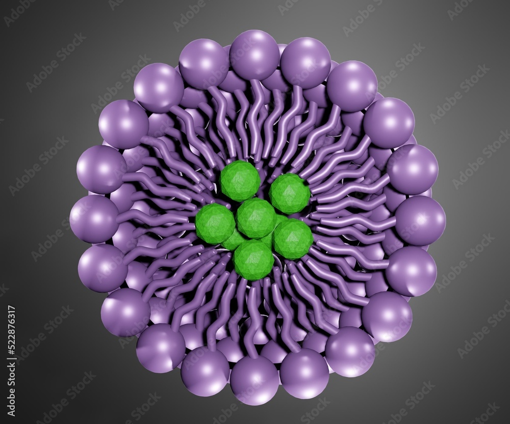 Isolated micelle contains nanomedicine as drug delivery system 3d ...