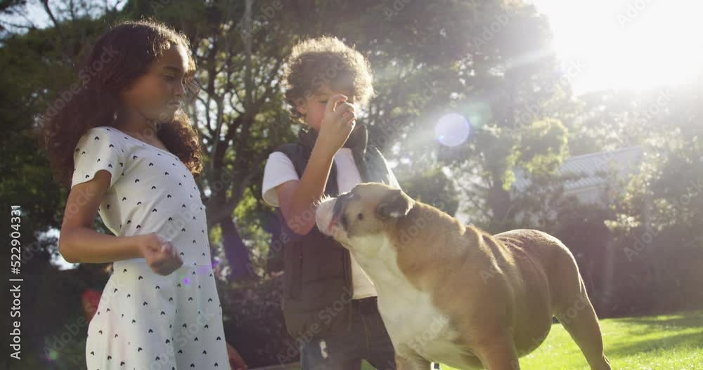 Children playing with a dog, bonding with pet and having fun in the ...