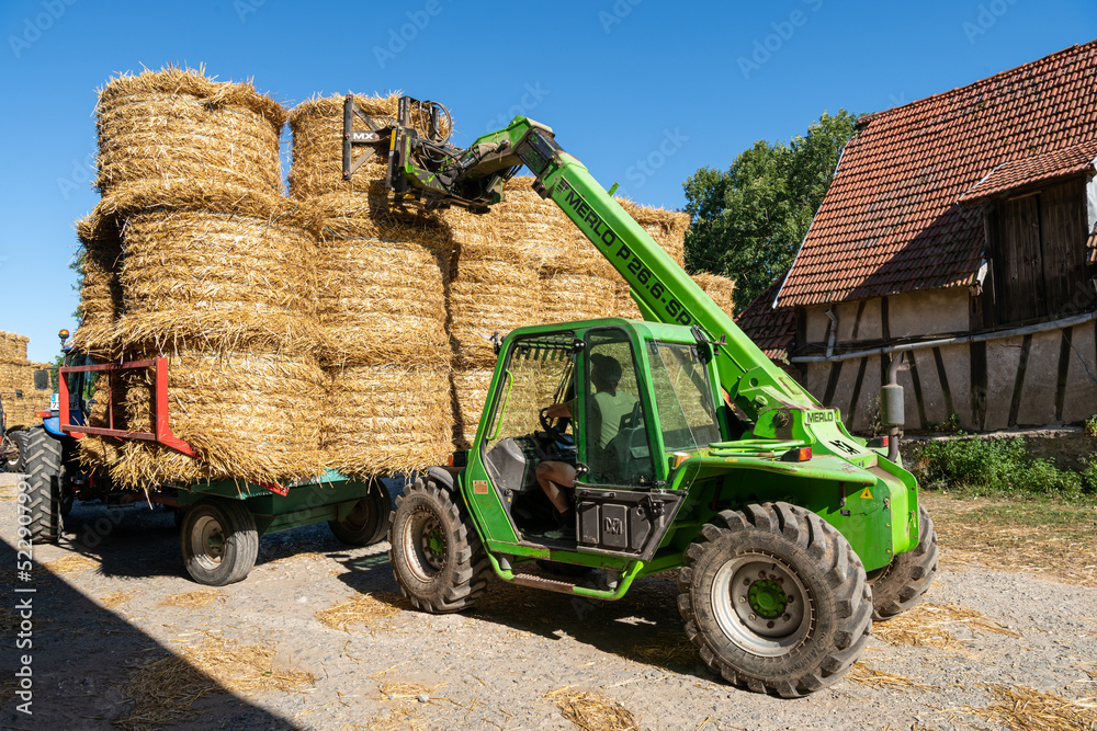 Ballots de paille sur une remorque plateau. Déchargement et stockage à ...