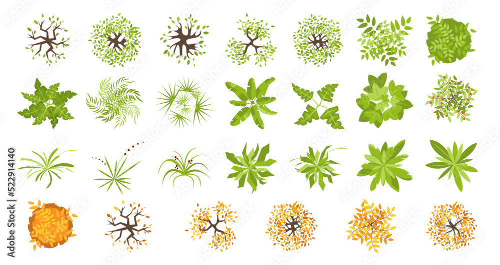 Trees and plants top view for landscape design. Icon set of colored trees and grass for ...