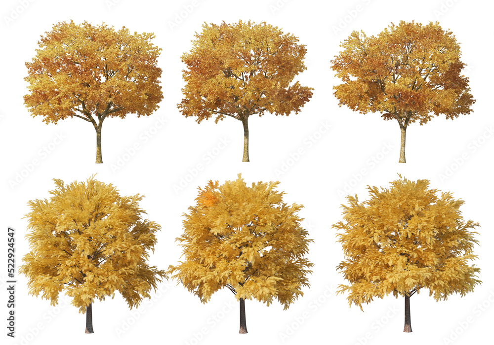 Autumn trees on a transparent background Stock Illustration | Adobe Stock