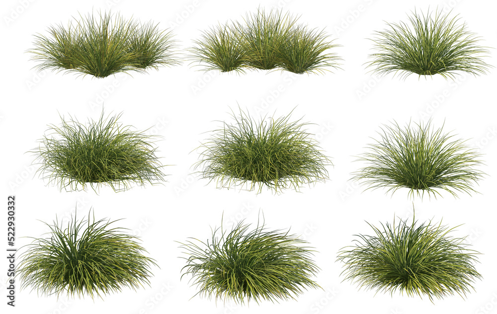 Poster Shrubs and plants on a transparent background – Wall Art | UkPosters