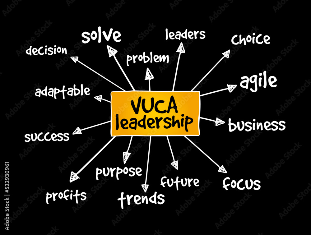 VUCA Leadership (Volatility, Uncertainty, Complexity, Ambiguity) mind ...