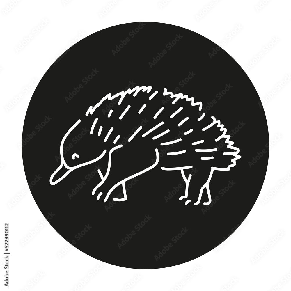 Australian echidna color line illustration. Animals of Australia Stock ...