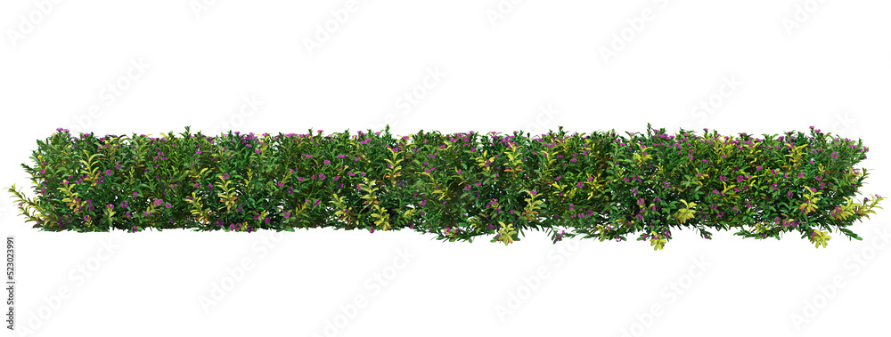Shrubs and plants on a transparent background Stock Illustration ...