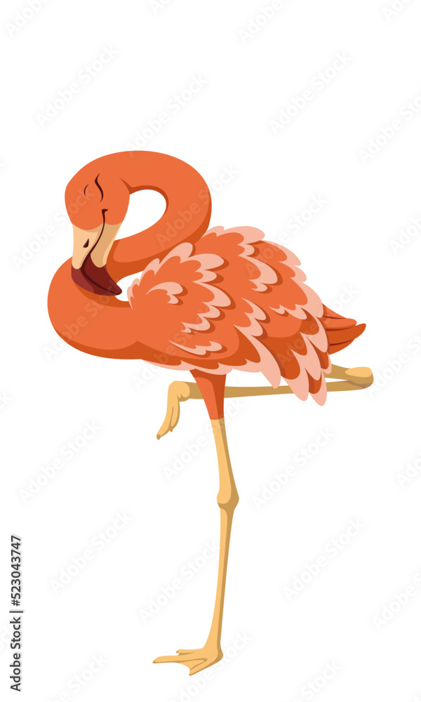 Bird pink flamingo sleeping vector cartoon illustration Stock Vector ...