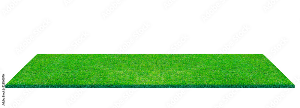 Green grass field isolated on white Background for sports background ...
