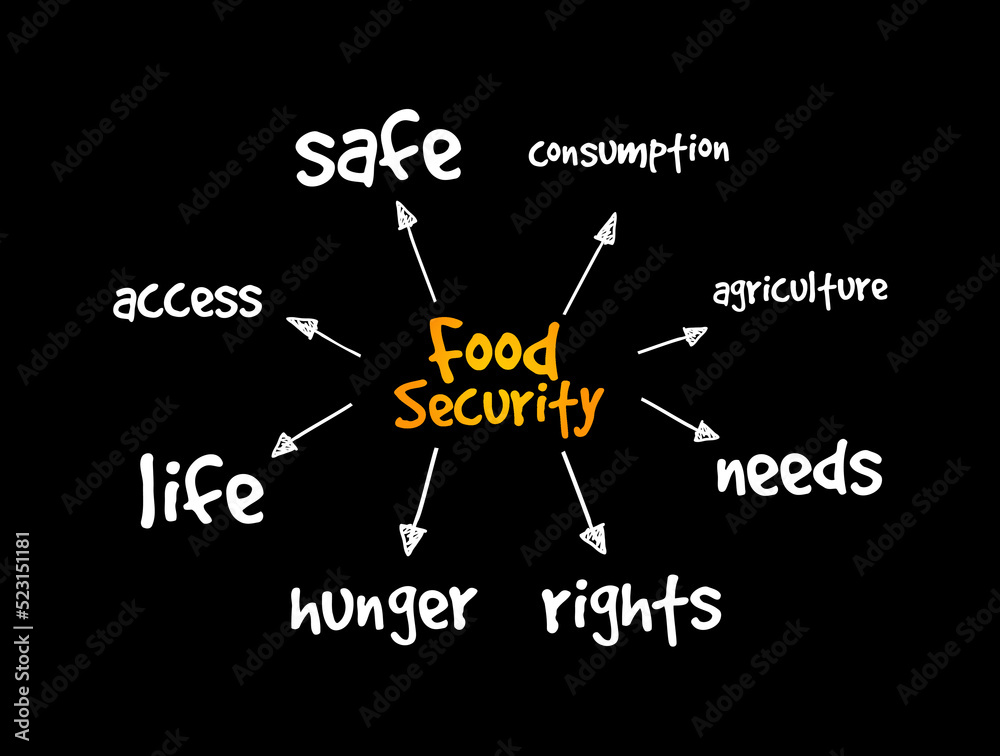 Food Security mind map, concept for presentations and reports Stock ...