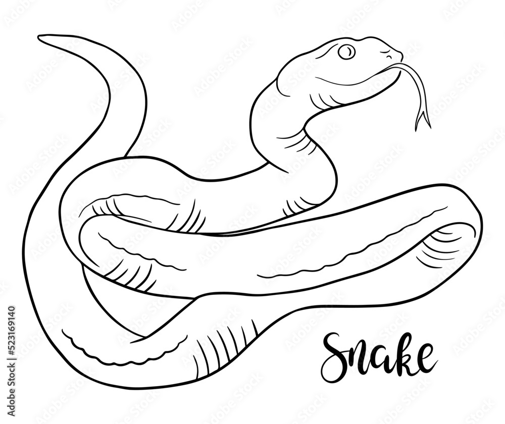 Contour snake sketch with hand lettering. Line art vector illustration ...