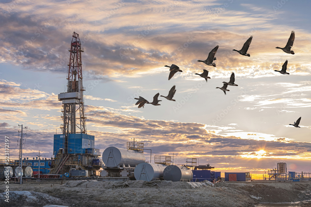 General view of a drilling rig for drilling wells at an oil and gas ...