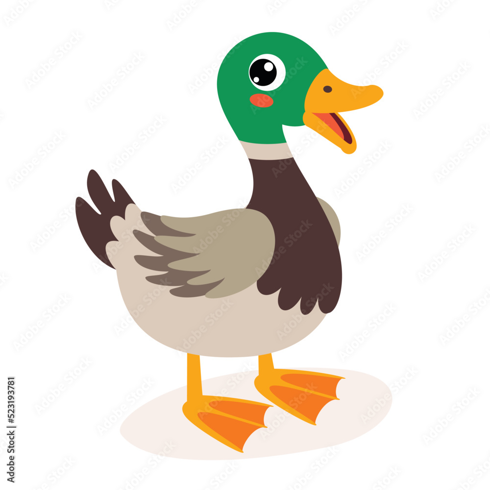 Cartoon Illustration Of A Duck Stock Vector | Adobe Stock
