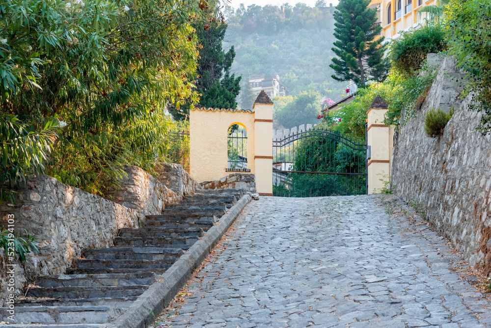 Forged metal gates with stone fence posts, paved porch and bushes ...