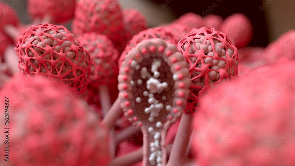 Photo & Art Print Breastfeeding, Woman feeding a baby, lactation ...