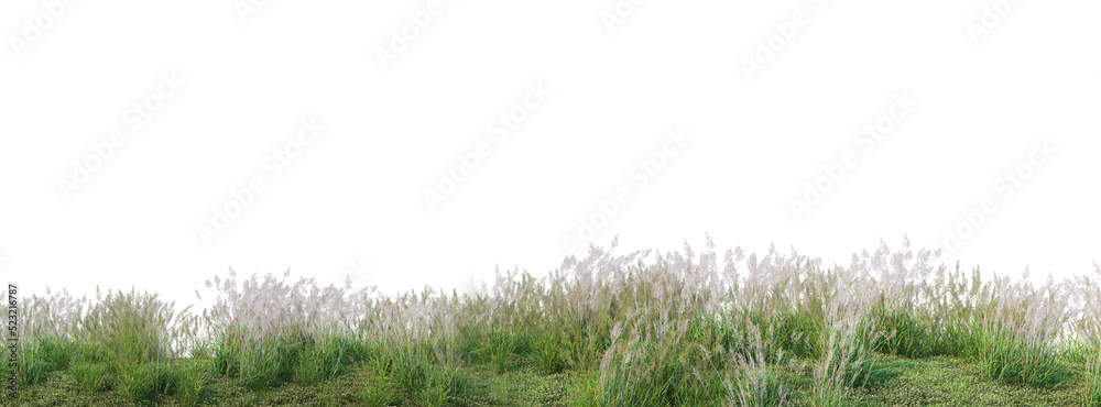 Grass on a transparent background Stock Illustration | Adobe Stock