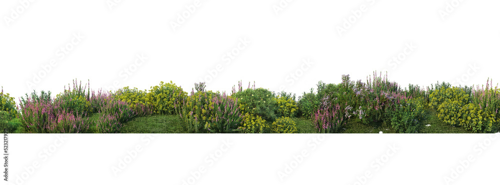 Shrubs and flower on a transparent background Stock Illustration ...