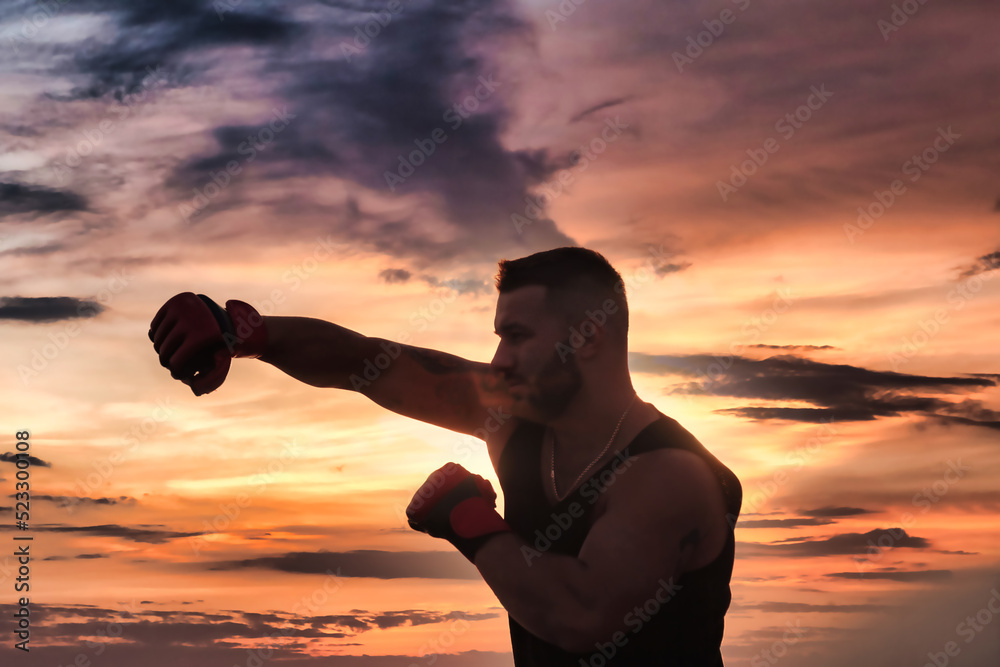 Silhouette of sportsman boxer fighter with boxing gloves posing fight ...