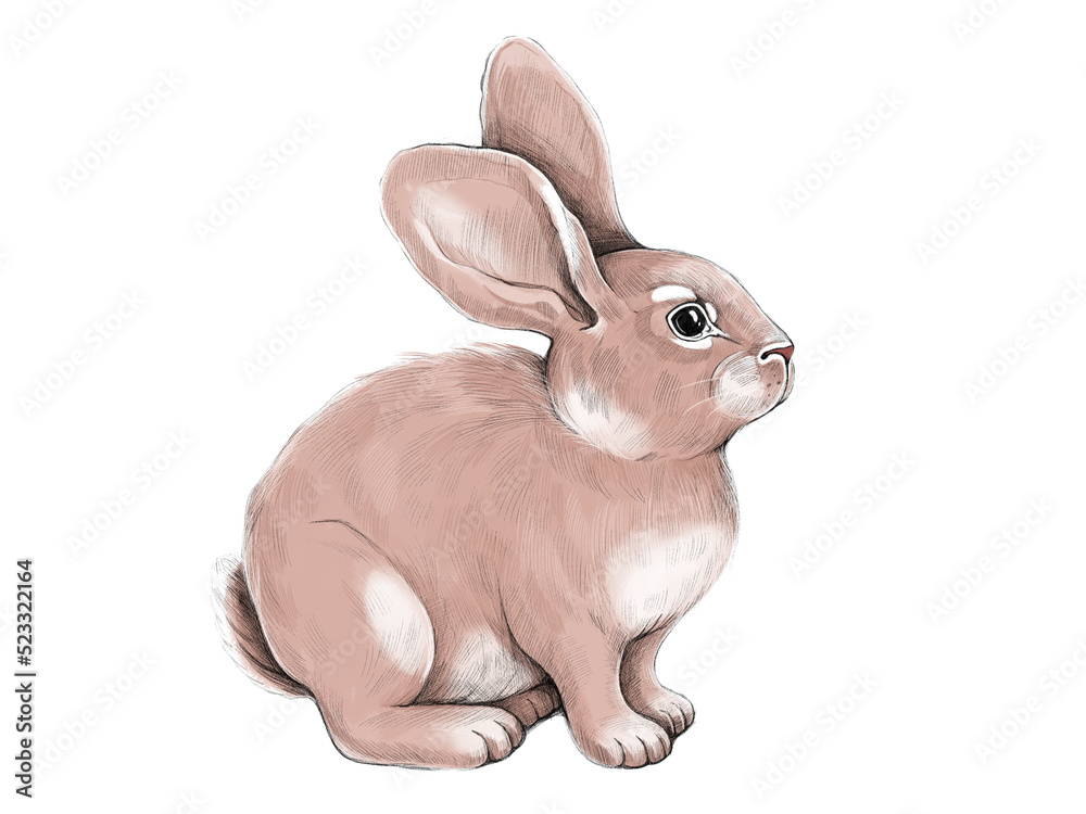 Hand drawn rabbit. Symbol of 2023. Drawing with colored pencils on a ...