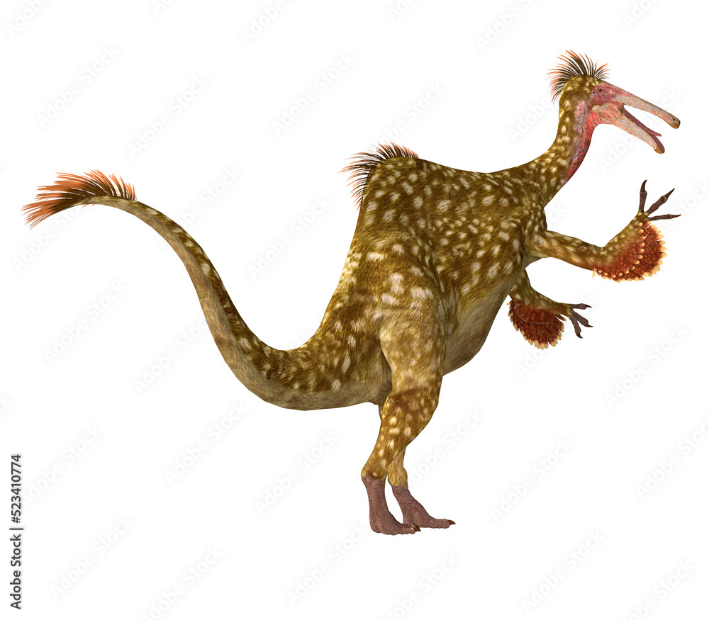 Cretaceous Deinocheirus Tail - Deinocheirus was a predatory theropod ...