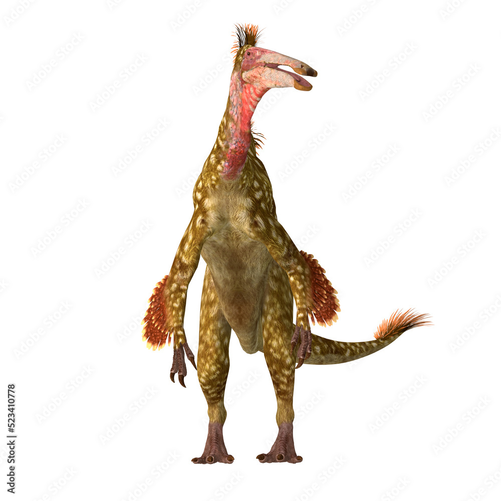 Deinocheirus Dinosaur on White - Deinocheirus was a predatory theropod ...