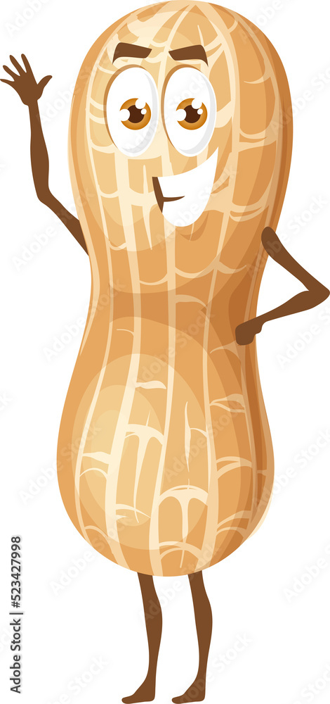 Funny peanut or groundnut character personage Stock Illustration ...