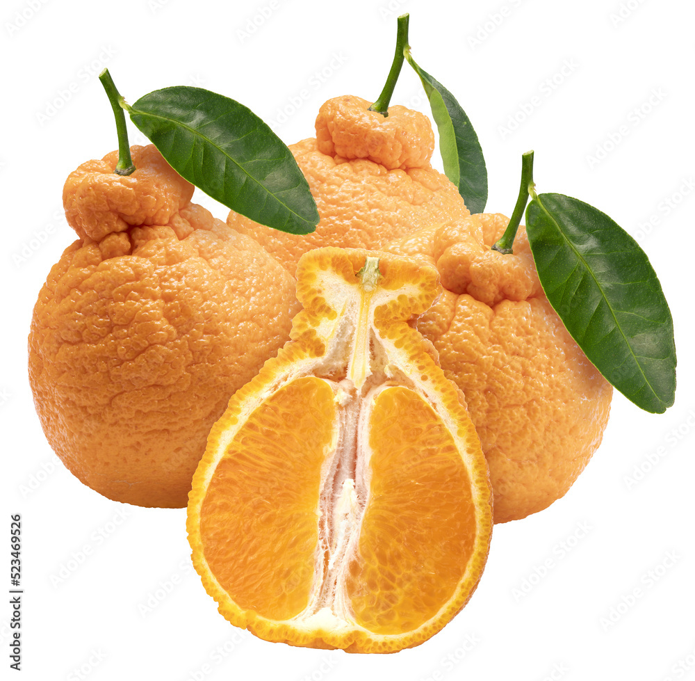 Dekopon orange or sumo mandarin tangerine with leaves isolated on white ...