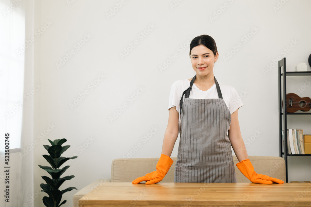 Housewife with rubber gloves and apron ready to clean home. Young woman ...