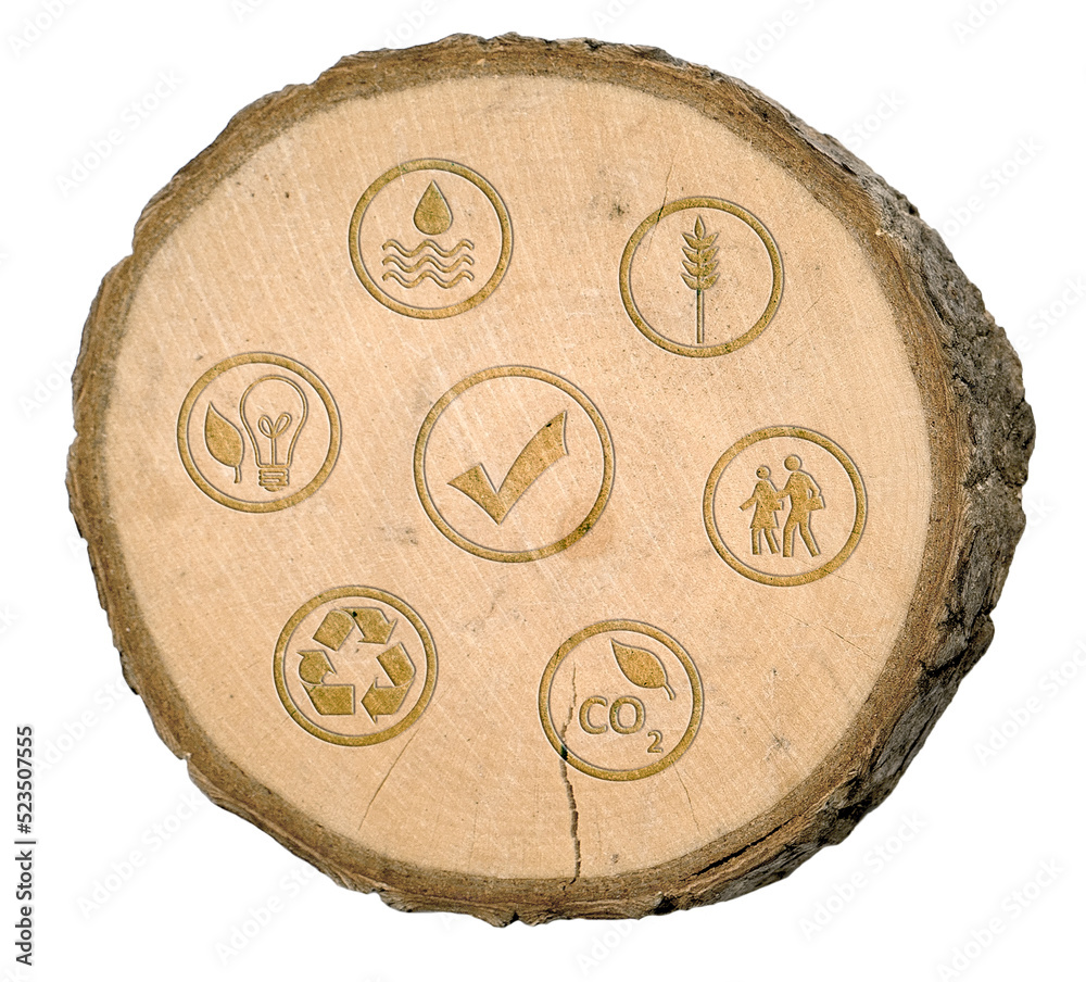 Tree disc or tree slice with bark with eco friendly icons ( saving ...