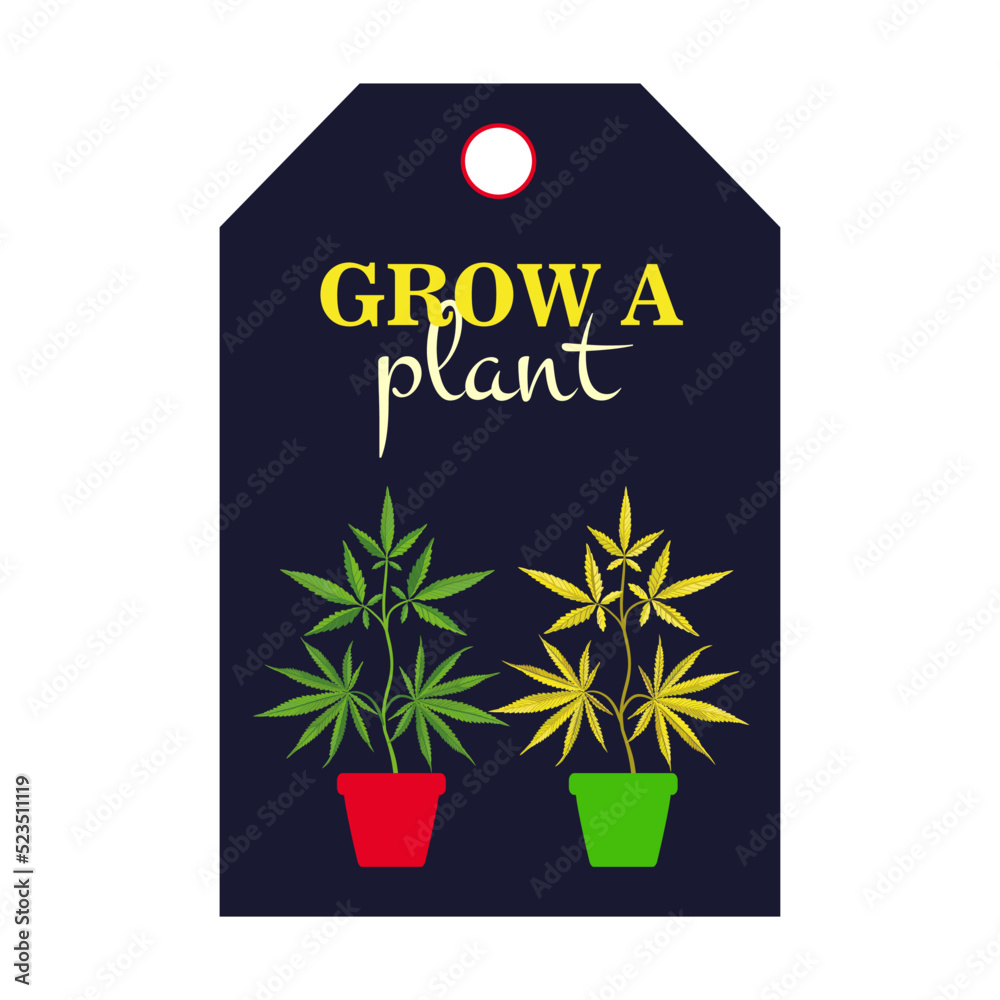 Ganja plant. Bright cannabis leaves, roots, bush with text on dark ...