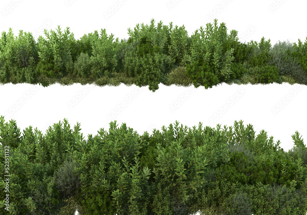 ภาพประกอบสต็อก Shrubs and flower on a transparent background ภาพ ...