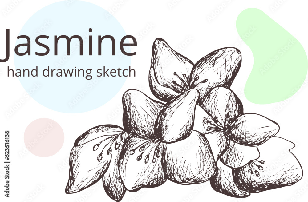 Digital hand drawn abstract outline vector sketch.Vintage silhouette of ...